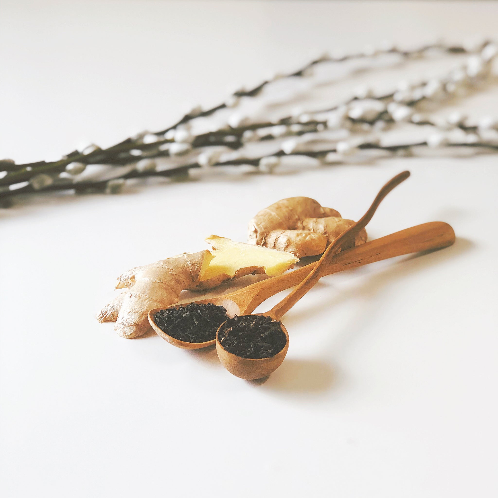 Adjourn Studio – Adjourn Teahouse